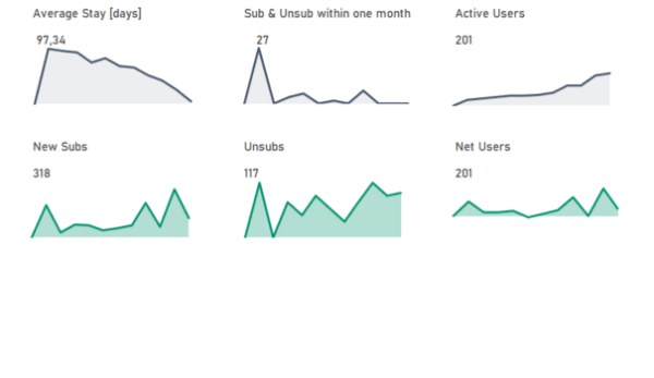 Excel Subscription Management — High-End Spreadsheet